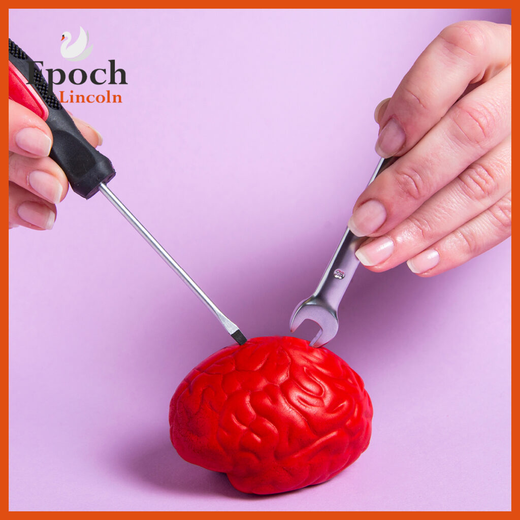 Neural Plasticity: How Your Brain Adapts (and How Chiropractic Care Can ...